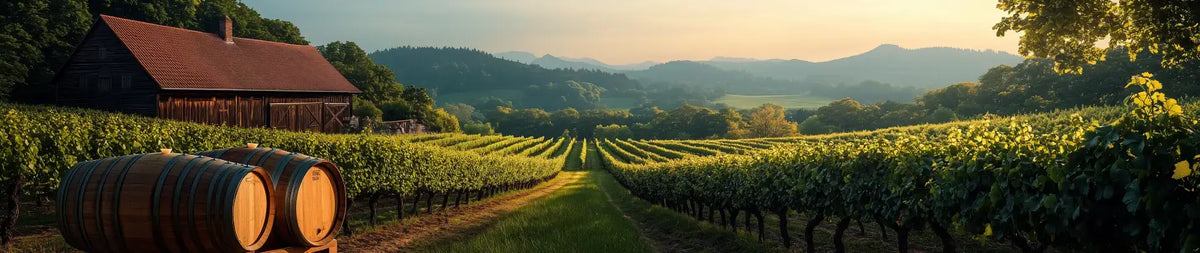 Hvad er et weingut? - En type vingård i Tyskland – VinGuruen